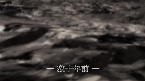 P Bilibili