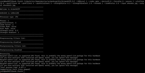 Segmentation Fault On Ubuntu 1910 · Issue 42 · Tianzerlanime4kcpp