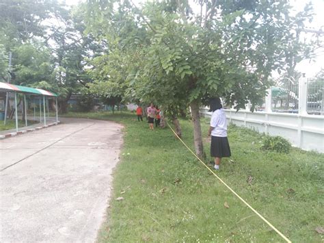 พิกัดพรรณไม้ สวนพฤกษศาสตร์โรงเรียน โรงเรียนวิจิตราพิทยา