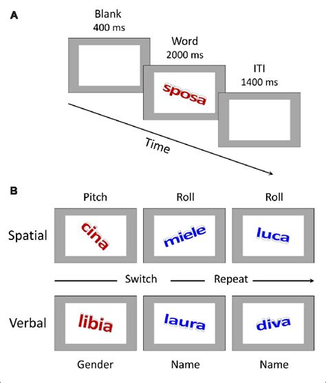 Trial Structure And Sample Stimuli A Schematic Representation Of
