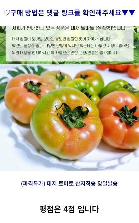 파격특가 대저 토마토 산지직송 당일발송 대저 토마토 25kg 가성비 꿀맛 Shorts 내돈내산video Youtube