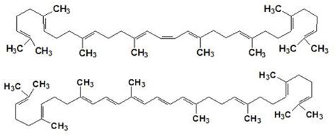 The Photoprotective Effects Of A Food Supplement Tomato Powder Rich In
