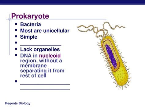 I Can Identify Function Of Parts Ppt Download