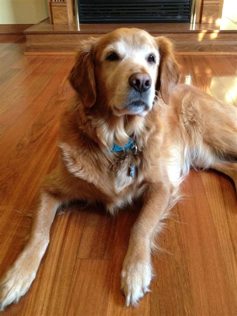 Michael Wermuth Posted On Linkedin