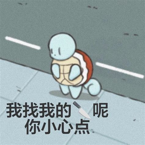 小乌龟表情包 好可爱！