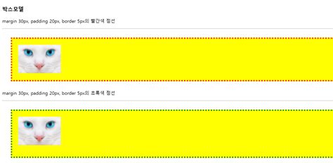 Css 박스모델