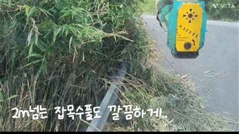 잡목 대나무 파쇄작업 Youtube