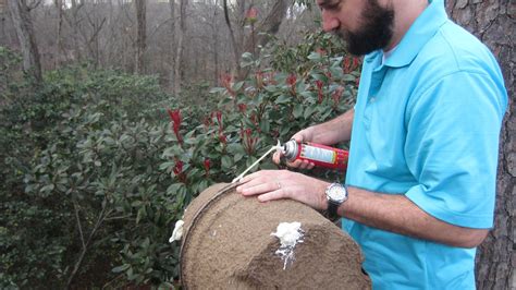 Lindas Bees Making A Homemade Swarm Trap