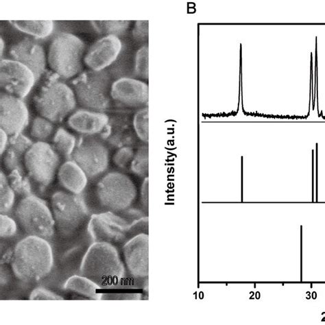 Figure S1 Scanning Electronic Microscopy Sem Characterization A Download Scientific