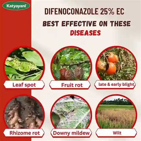 Buy Katyayani Concor Difenoconazole 25 Ec Chemical Fungicide At Best Price In India