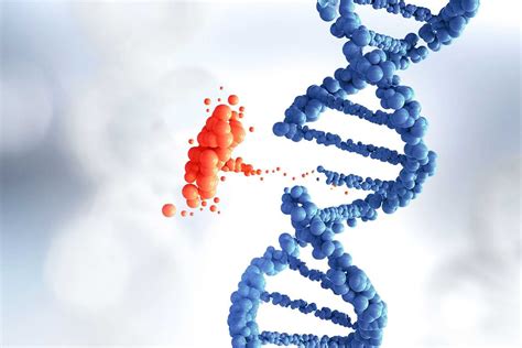 Understanding Genetic Disorders Causes And Impact On Health Mygenome