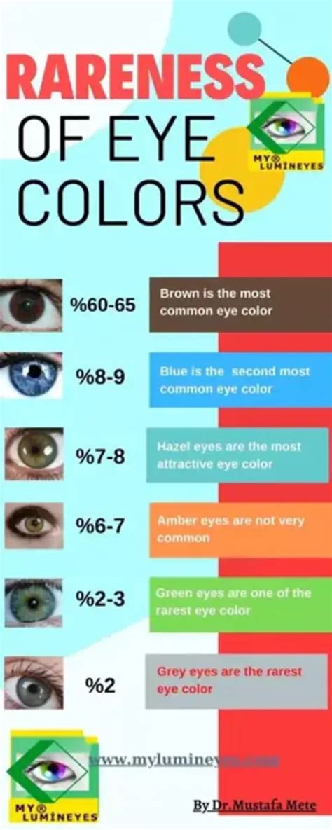 Rarest Eye Colors Green Amber Grey Violet And Heterochromia Explained