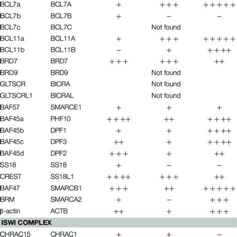 Types And Composition Of Chromatin Remodeling Complexes The Subunit