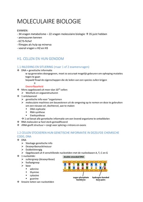 Moleculaire Biologie Met Tekeningen Warning Tt Undefined Function