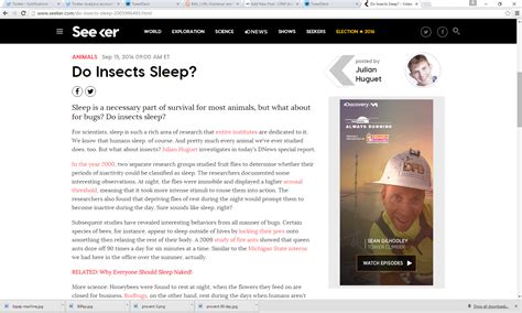 Do Insects Actually Sleep Find Out The Answer Here