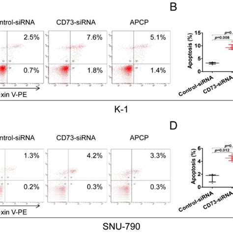 Analysis Of Apoptosis By Flow Cytometry Downregulation Of Cd73 Download Scientific Diagram