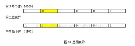 C写的遗传算法的交叉算子，选择算子和变异算子c 遗传算法 Csdn博客