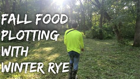 Fall Food Plotting With Winter Rye Youtube