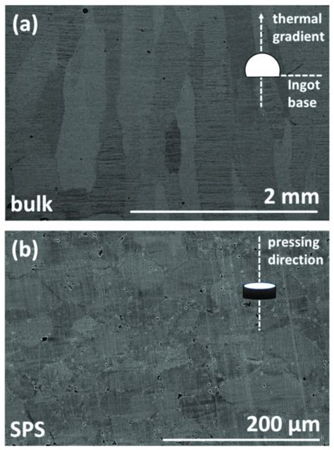 Sem Micrographs Of The Typical Microstructure Observed For The Bulk