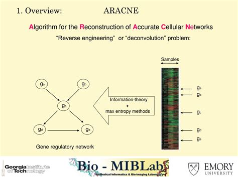 ppt aracne powerpoint presentation free download id 9540416