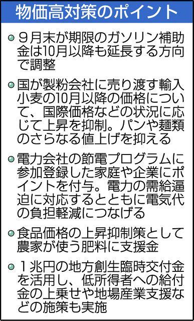 新たな節電ポイント、ガソリン補助金延長 世論を意識、歳出膨張：中日新聞web