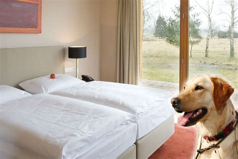 Hotels And Pensionen Für Urlaub Mit Hund