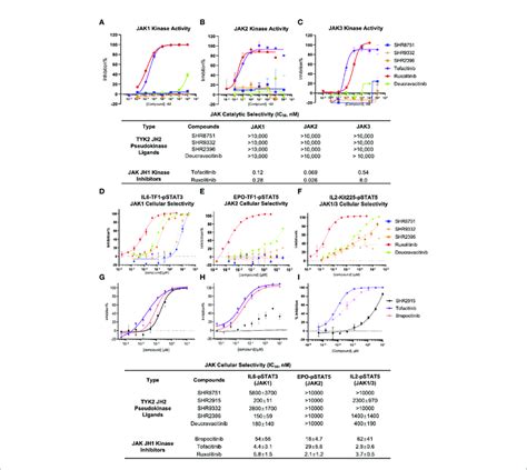 Tyk2 Pseudokinase Ligands Showed Limited Potency In Affecting Jak1 3