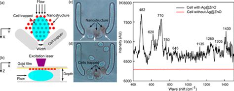 In Situ Fabrication Of 3d Agzno Nanostructures For Microfluidic Surface Enhanced Raman