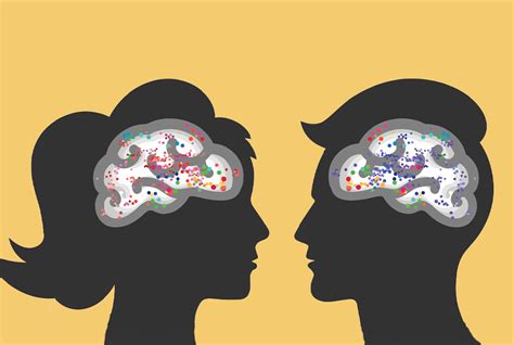 Early Brain Differences May Explain Sex Specific Risks For Addiction Newsroom Weill Cornell