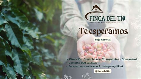 Finca Del Tío