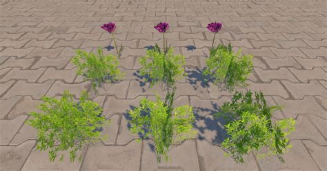 Fern Asset Creator Free Modeling Unity Asset Store
