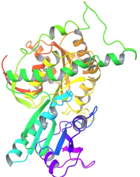 3d Structure Of Pyruvate Ferredoxin Oxidoreductase After Loop