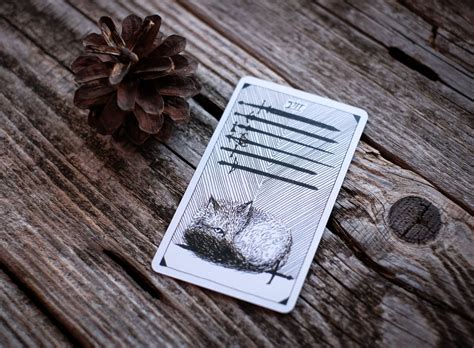 The Wild Unknown Tarot: deck review and card images