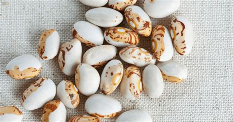 Seed Catalogs 101 Northern Gardener