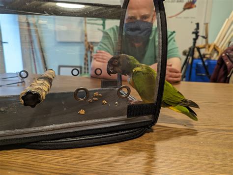 Parrot Training Foundations Class