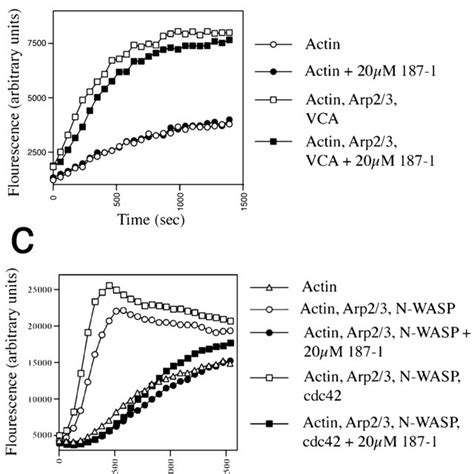 187 1 Inhibits N Wasp Activation Of The Arp23 Complex A Schematic Of