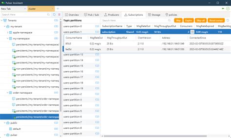Pulsar Assistant Pulsar可视化管理与监控工具