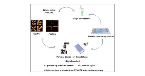 Ultrasensitive Point Of Care Detection Of Protein Markers Using An