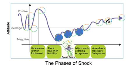 Shock Phases S Live With Impact