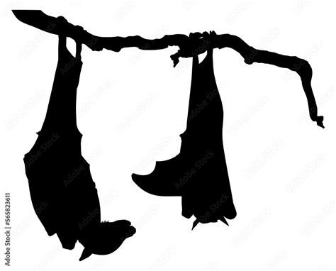Sleeping Bat On The Branch Tree Silhouette For Halloween Poster Art