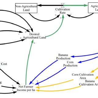 Representation Of The Case Study Model As A Causal Loop Diagram The
