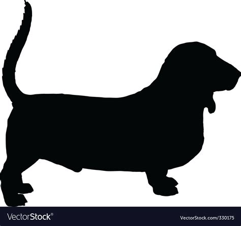 Basset Hound Royalty Free Vector Image Vectorstock