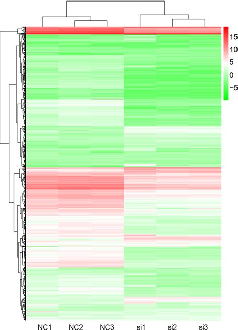 Microrna Expression Profile After Rna Component Of Mitochondrial Rna