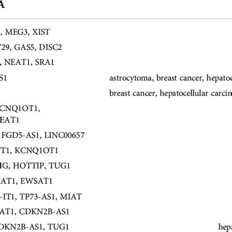 The Top 5 Lncrna Disease Associations That Have Been Successfully