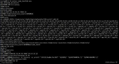 Linux 环境变量getenv如何如何导入rtl中 Csdn博客
