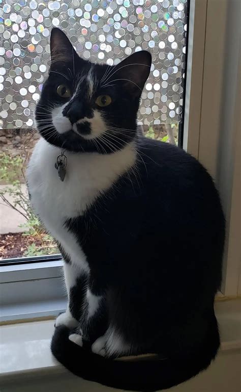 My Handsome Boy Scrolller My Handsome Boy Scrolller