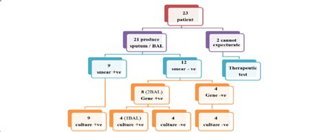 Flowchart For Tb Diagnosis In Tb Group Download Scientific Diagram
