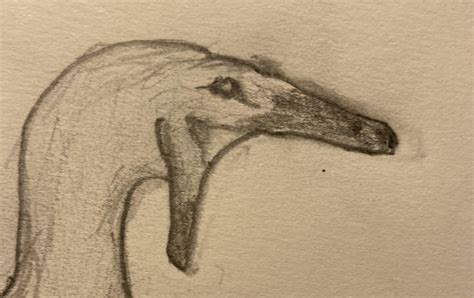 Daily Dinosaur Drawings Day 192 Nqwebasaurus R Paleoart