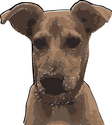 Download Dog Ears Puppy Royalty Free Vector Graphic Pixabay