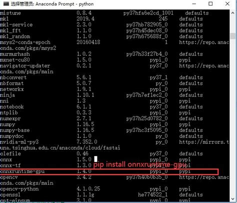 Is There A Problem With The Python Onnxruntime Gpu Installation Package Issue